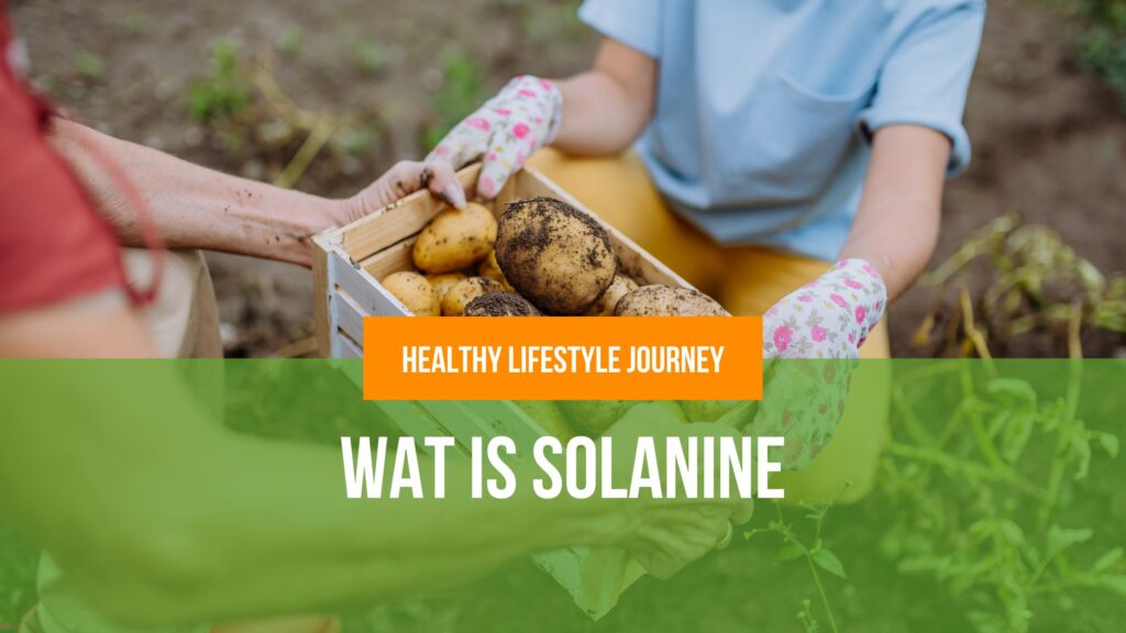 Wat is solanine? - Healthy Lifestyle Journey